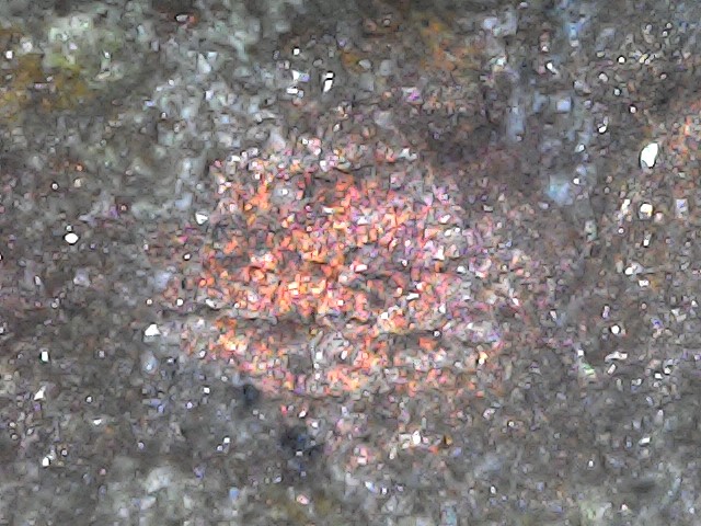 Oxidation of Copper Coin : ข้อมูลอัตลักษณ์พระเครื่องโดย amuletid.com